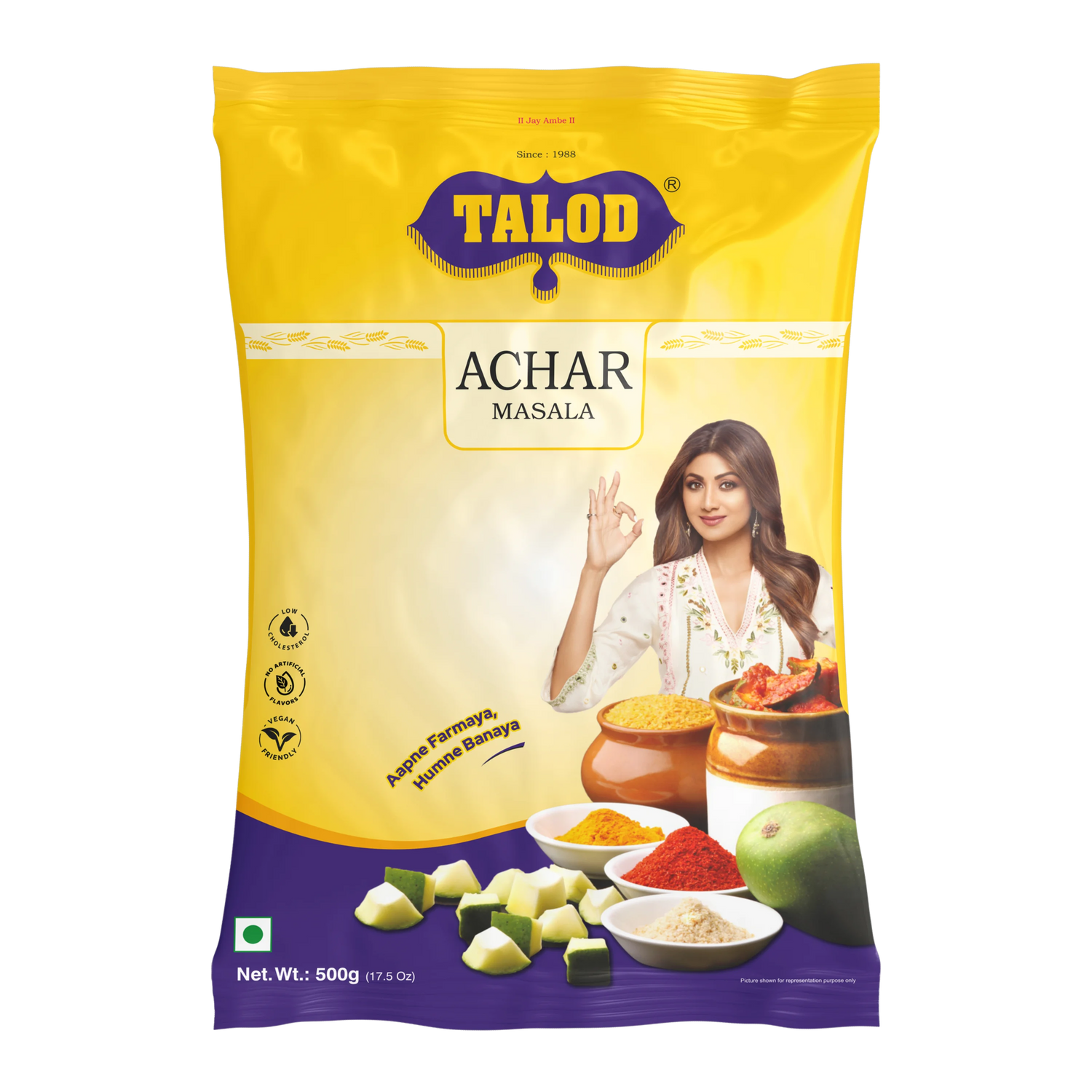 Achar Masala - The Taste Maker, 500 g – Talod Food Products Private Limited